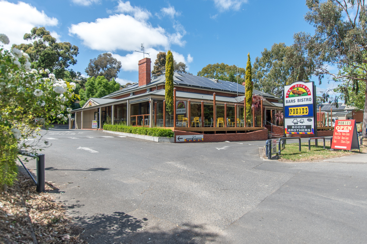 The Duck | SA | The Pass